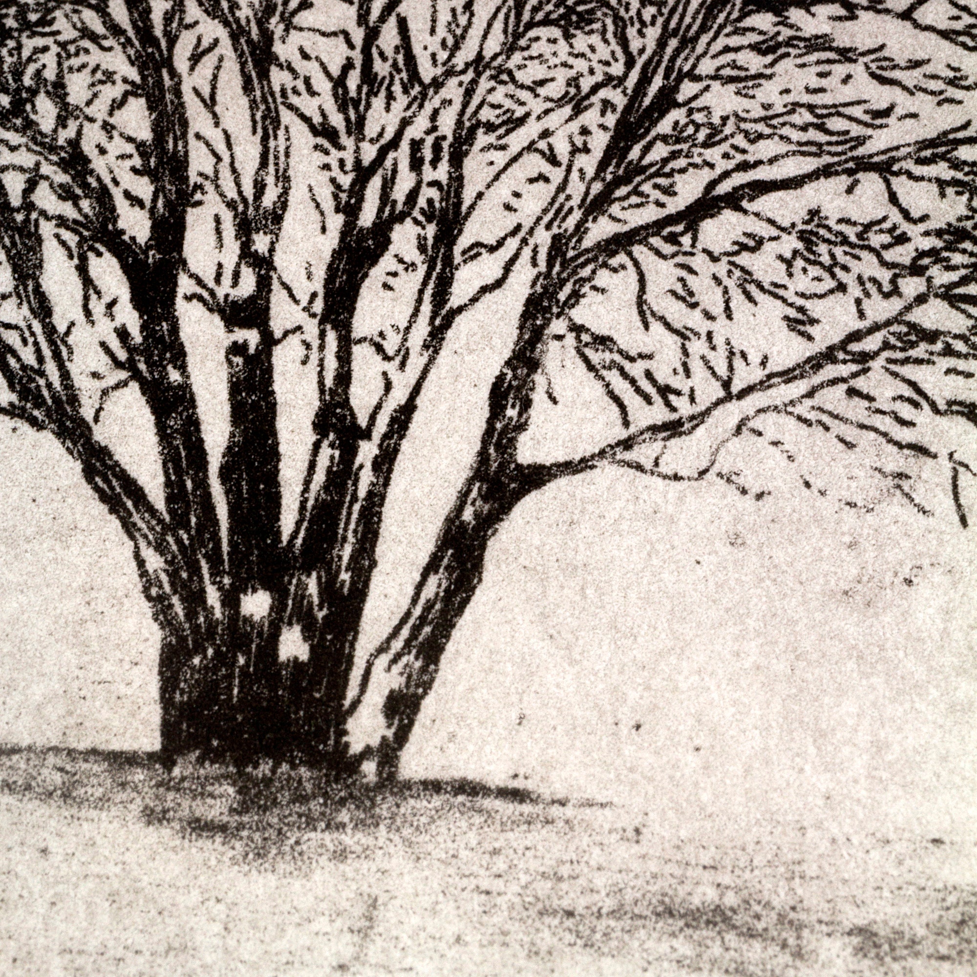 Original Etching / Limited Edition Fine Art Print / Intaglio / Snow ...