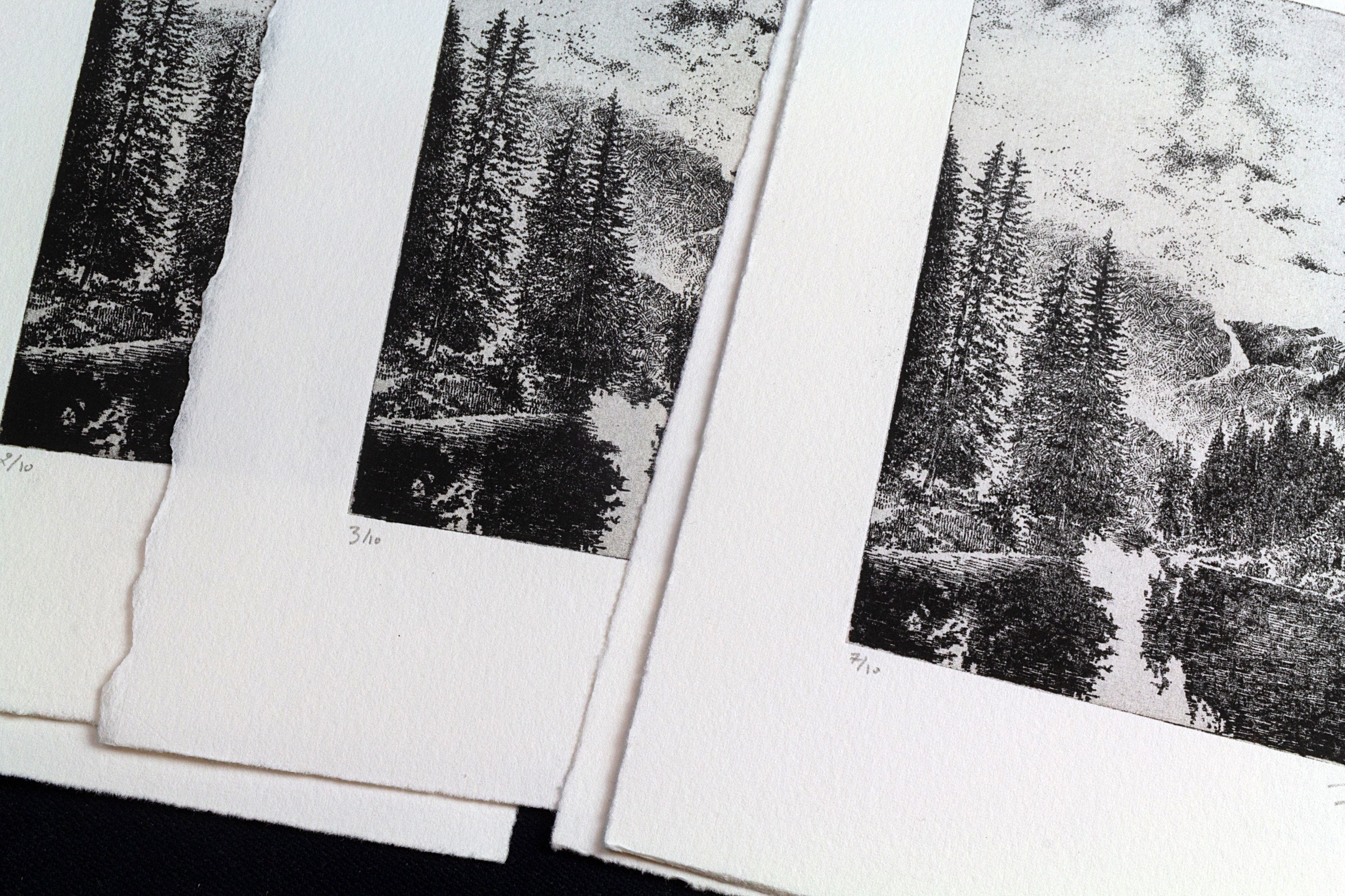 Etching Intaglio / Wall Art / Original Print Limited Edition / - Etsy