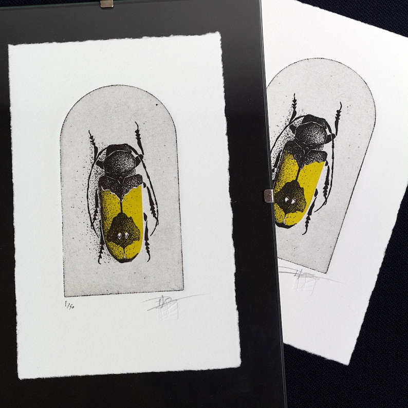Original Etching / Limited Edition Fine Art Print / Intaglio / Cabinet ...