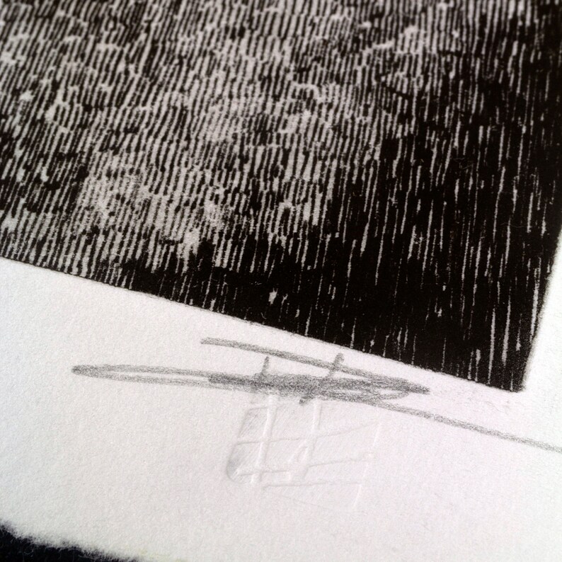 Original Etching / Limited Edition Fine Art Print / Intaglio / Bird ...