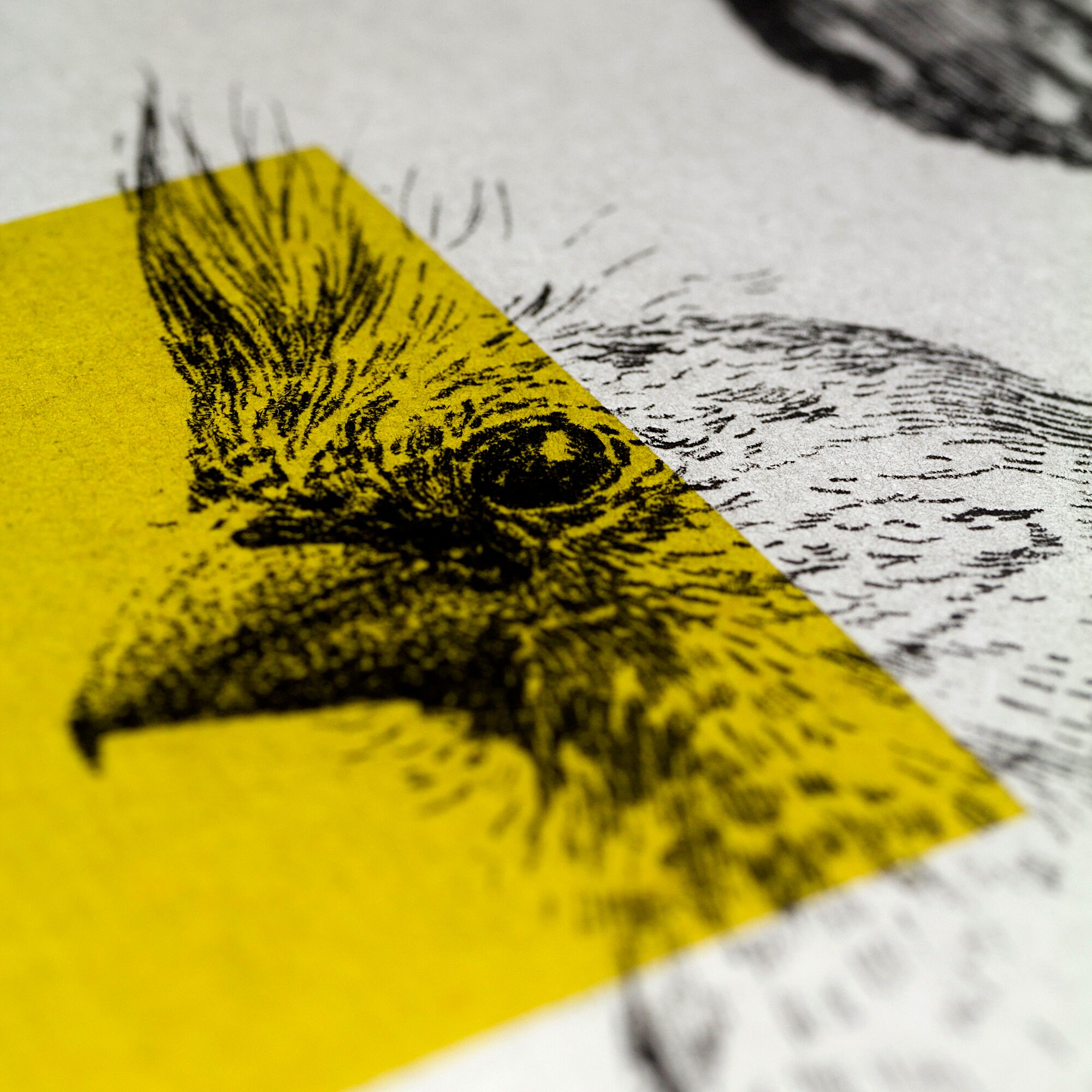 Original Etching / Limited Edition Fine Art Print / Intaglio / Bird ...