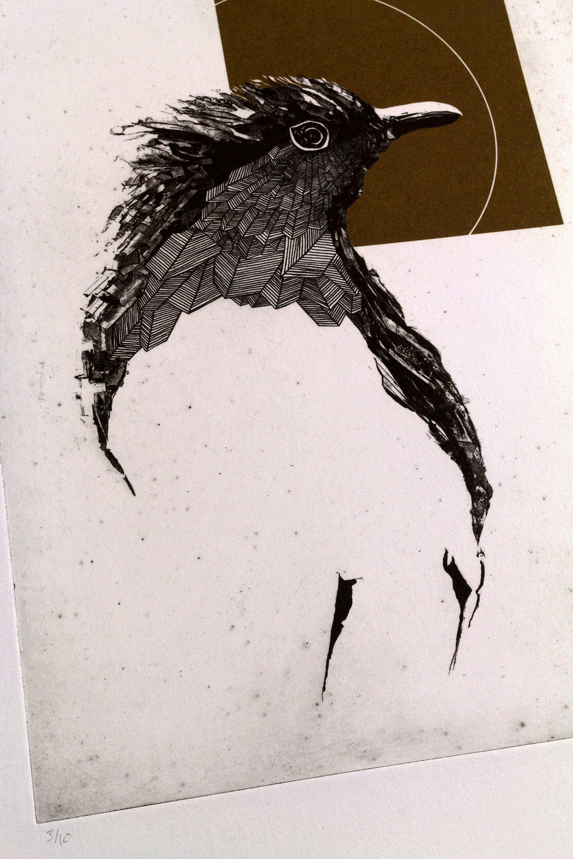 Original Etching / Fine Art Print Limited Edition / the Robin - Etsy