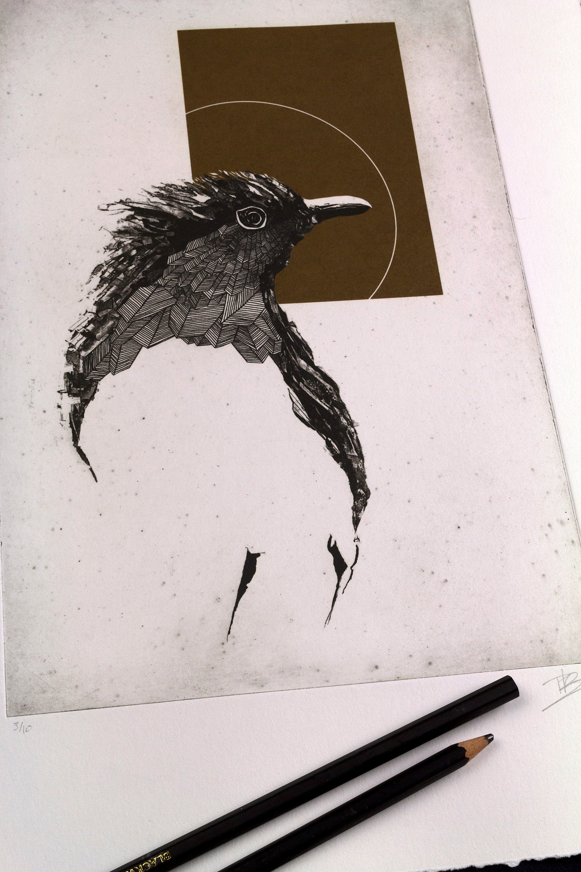 Original Etching / Fine Art Print Limited Edition / the Robin - Etsy