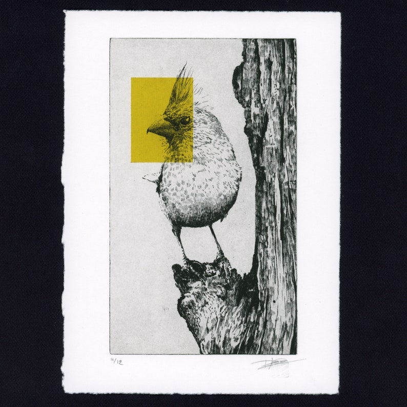 Original Etching Limited Edition Fine Art Print Intaglio Bird