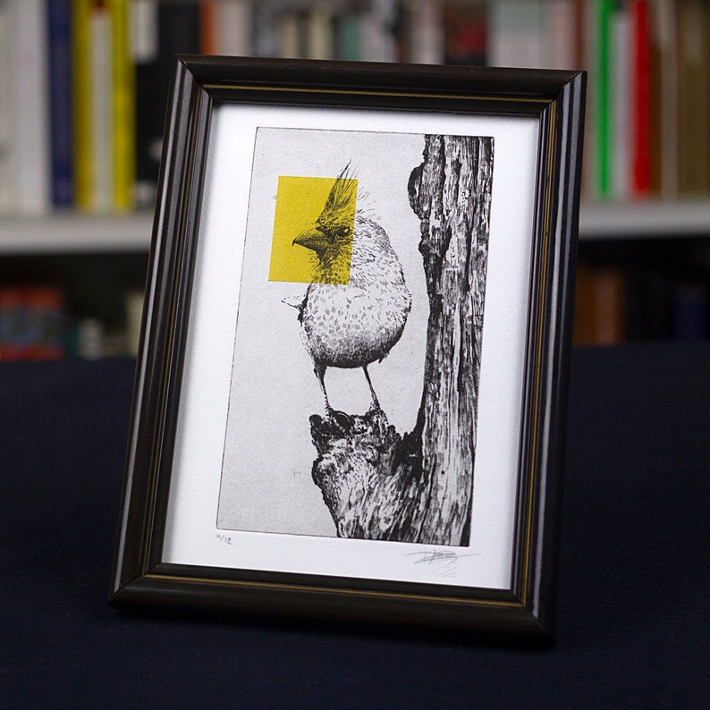 Original Etching With Vintage Frame / Limited Edition Fine Art Print ...