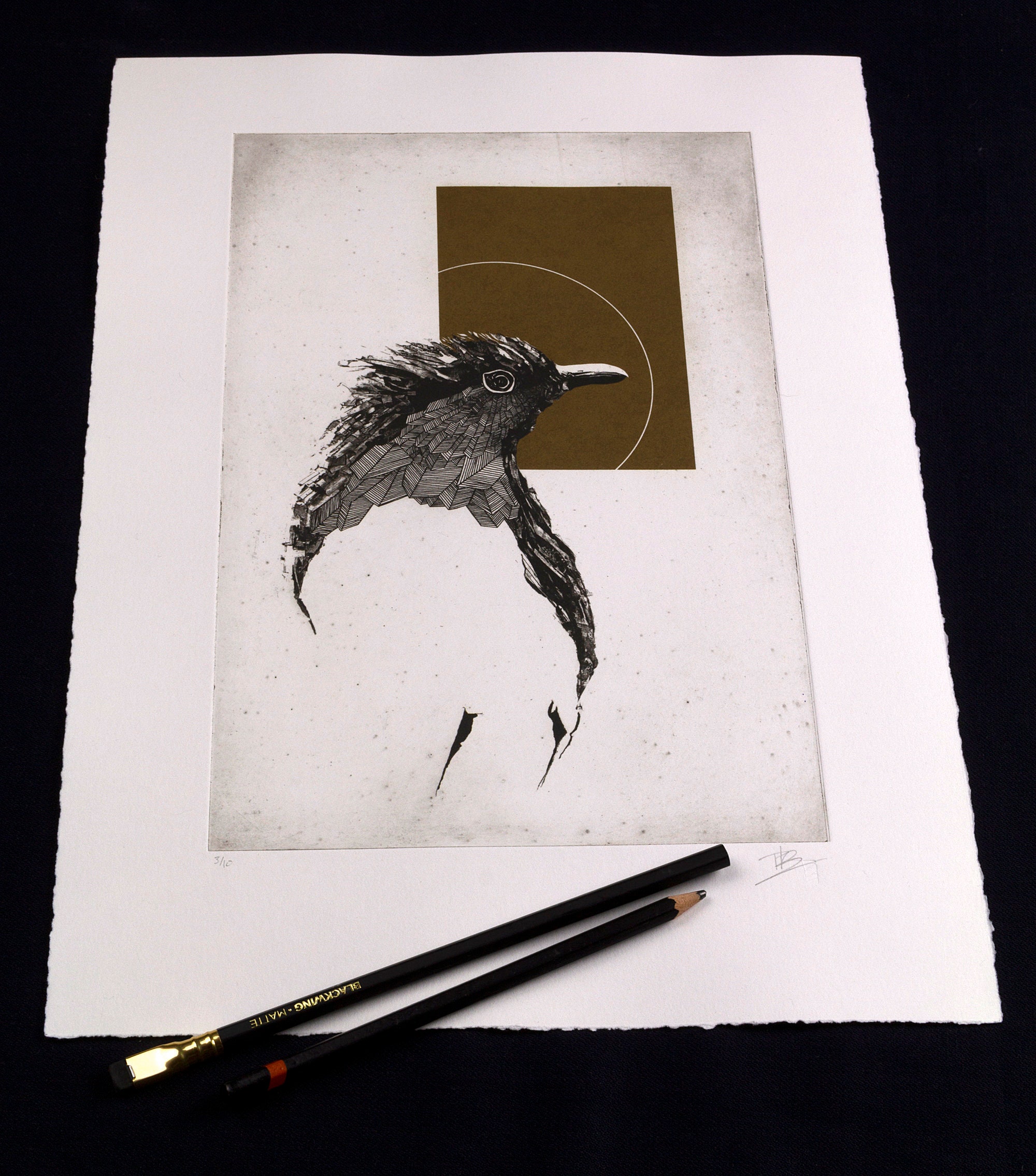Original Etching / Fine Art Print Limited Edition / the Robin - Etsy