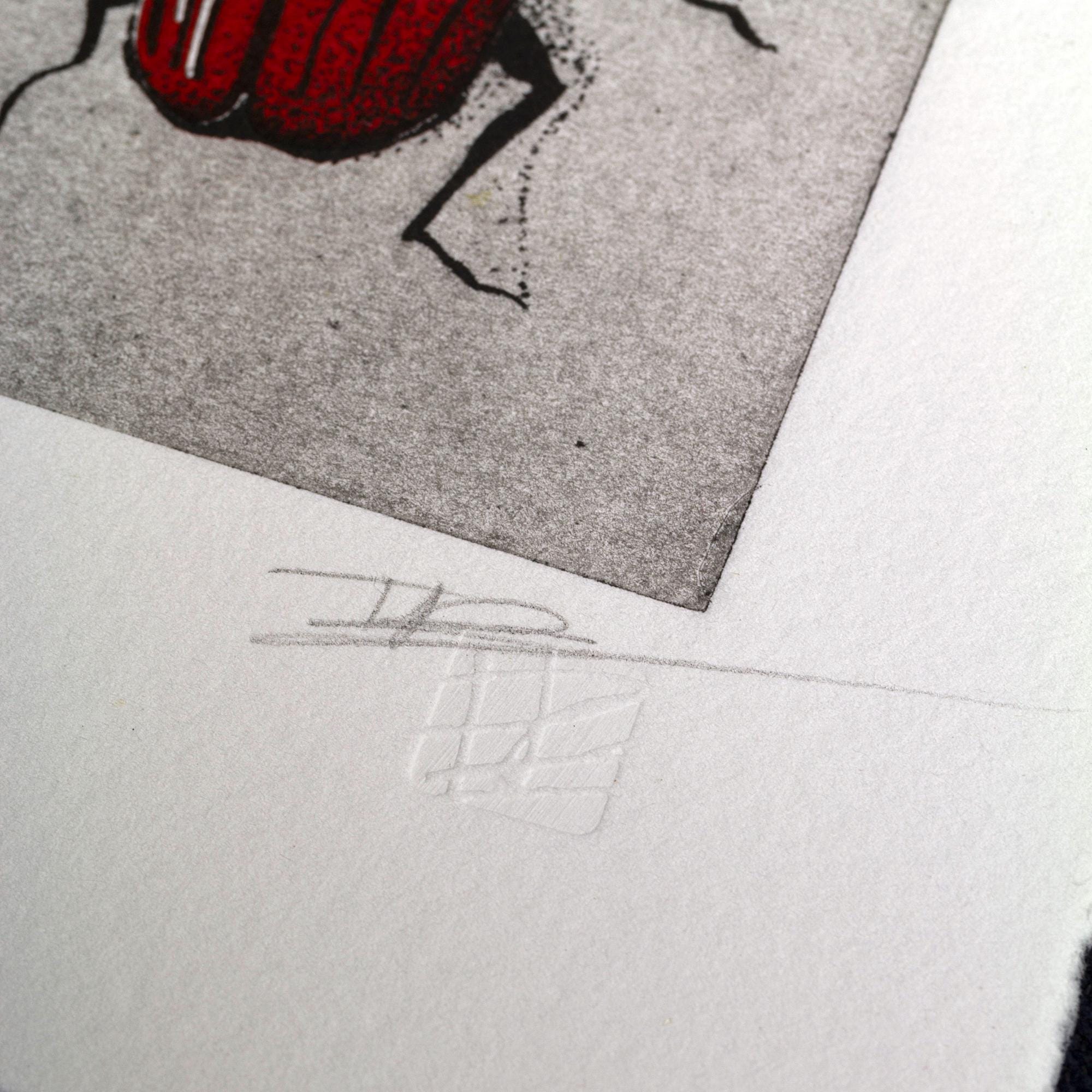 Original Etching / Limited Edition Fine Art Print / Intaglio / Cabinet ...