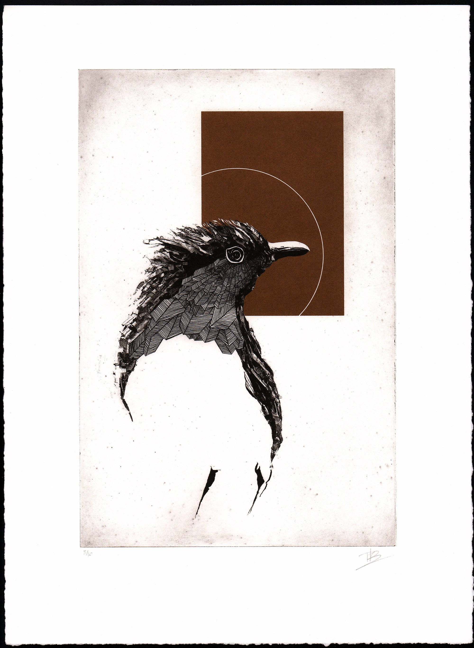 Original Etching / Fine Art Print Limited Edition / the Robin - Etsy