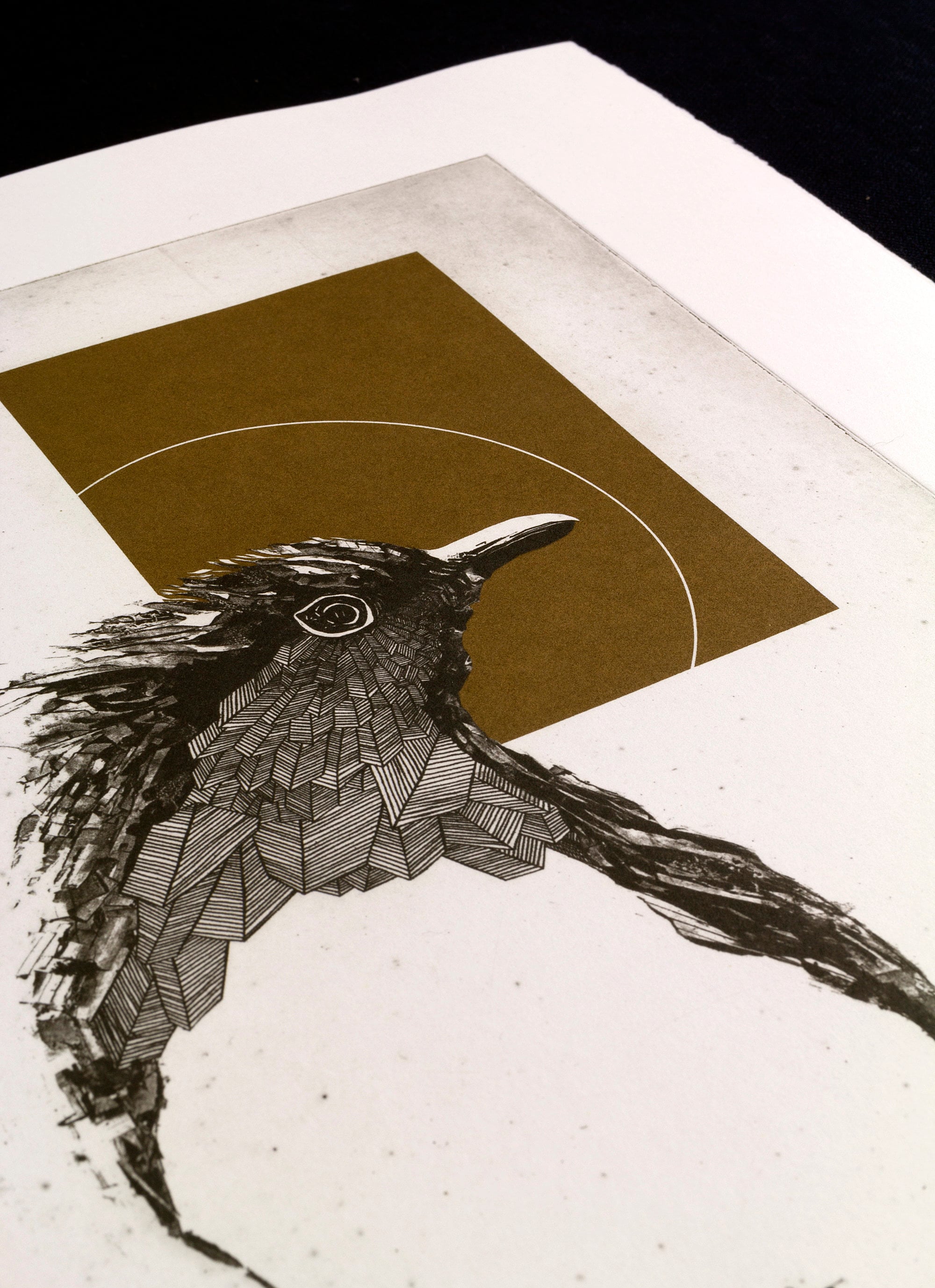 Original Etching / Fine Art Print Limited Edition / the Robin - Etsy