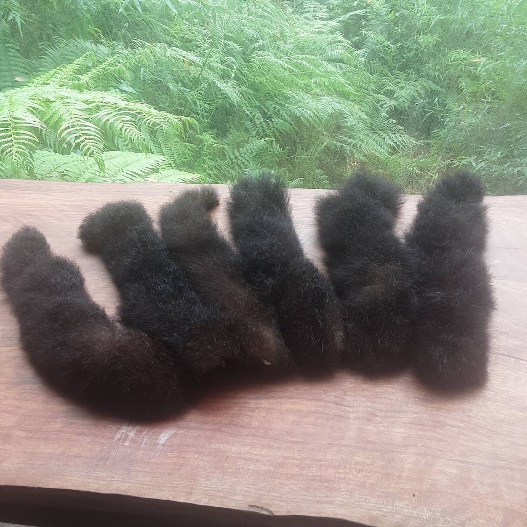 Brown Possum Pelt Tail - Etsy