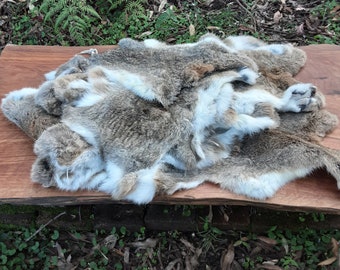 1x WILD MEADOW Rabbit Skin Fur Pelt Tanned for Animal Training, Dummy ...