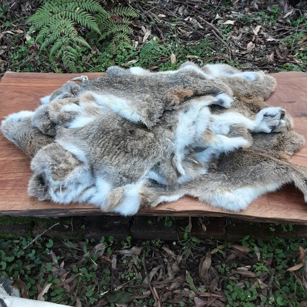 Rabbit Pelt - Etsy