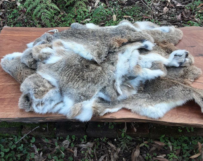 1x WILD MEADOW Rabbit Skin Fur Pelt Tanned for Animal Training, Dummy ...