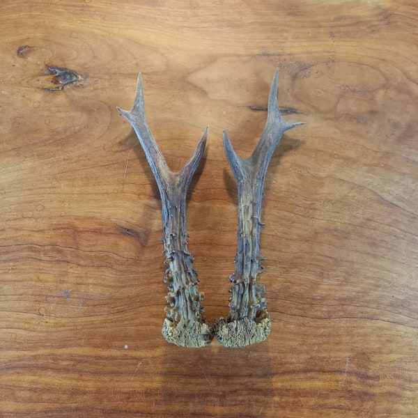 Deer Antler Handle - Etsy