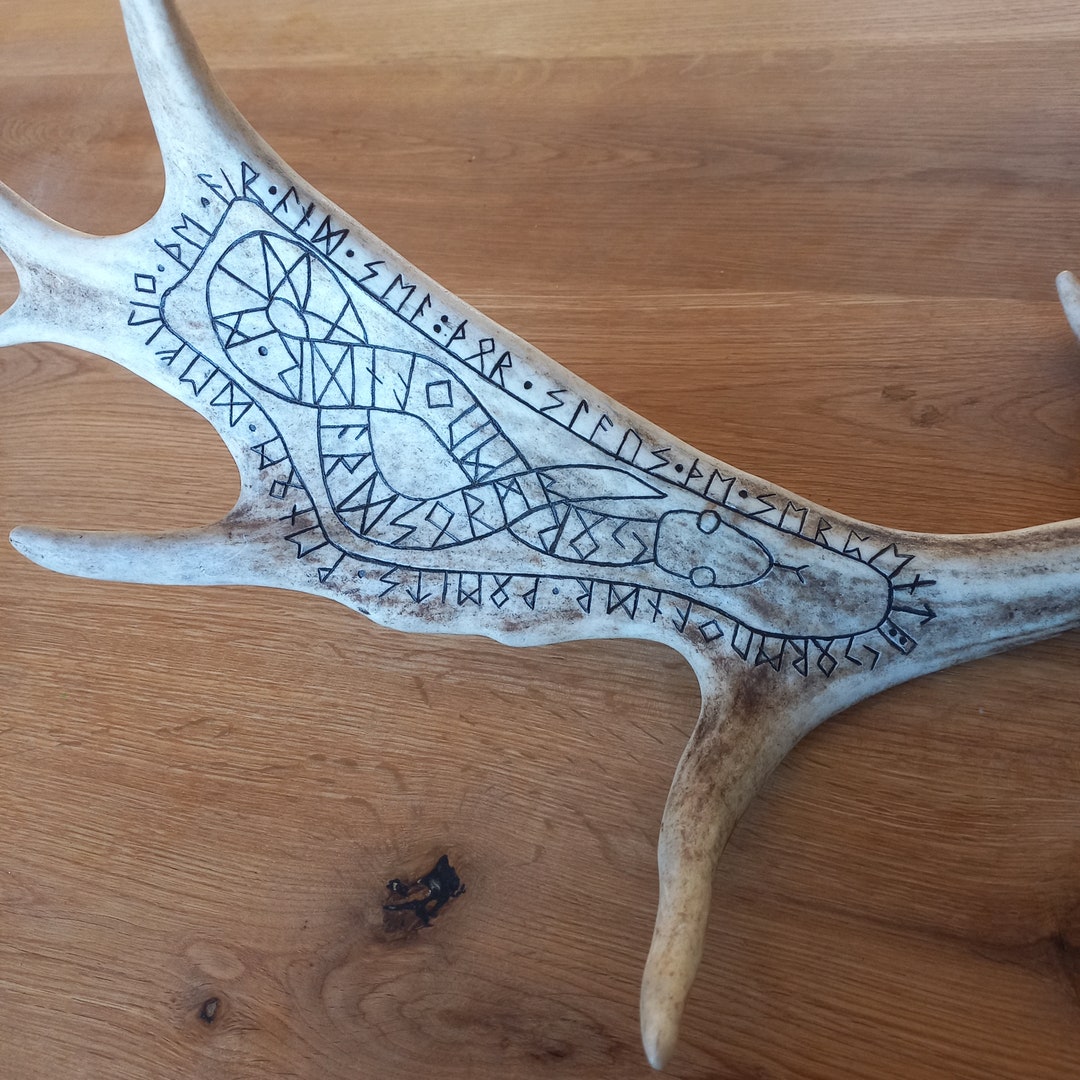 Fallow Deer Antler With Jörmungandr Carving - Etsy