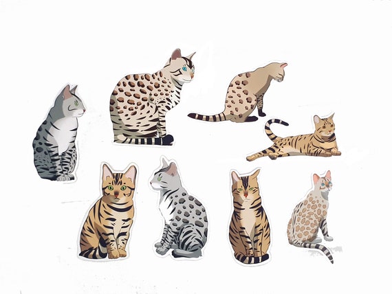 Abyssinian Cat Sticker Made of Vinyl in Small and Big Sizes for Your ...