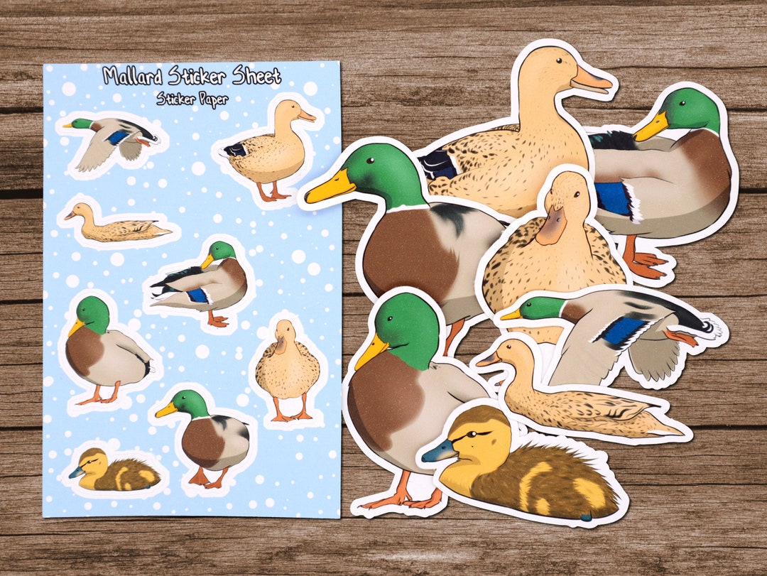 Mallard Sticker Made of Vinyl in Small and Big Sizes for Your Bullet ...