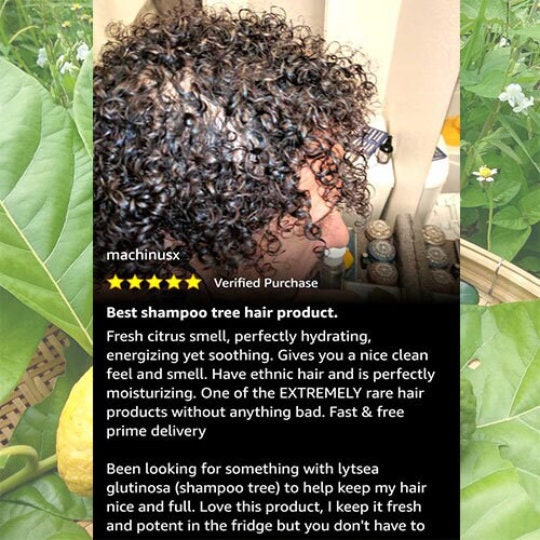 Organic No-poo Head-to-toe Wash: Moisturizing Body Wash, Shampoo, Hair ...