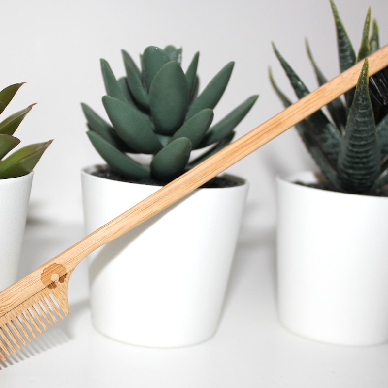 Bamboo Brushes & Combs - Etsy