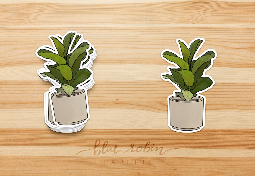 Fiddle Leaf Fig Plant Sticker, Die Cut, Cute Sticker Decoration ...