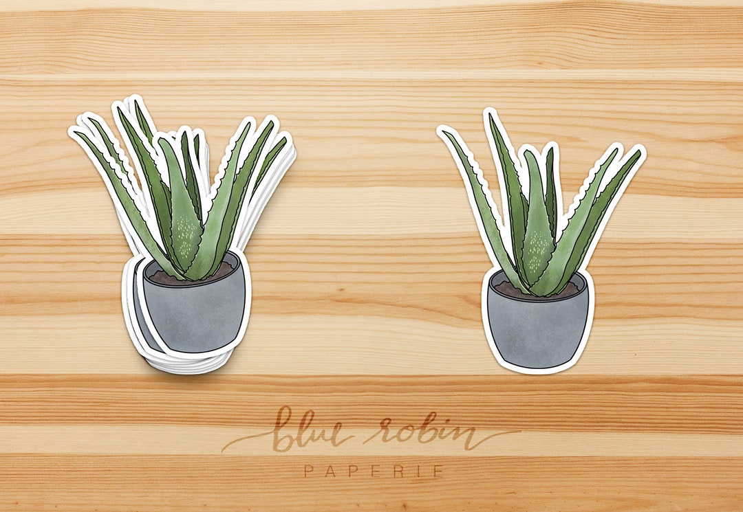 Aloe Plant Sticker, Die Cut, Cute Sticker Decoration, Weatherproof - Etsy