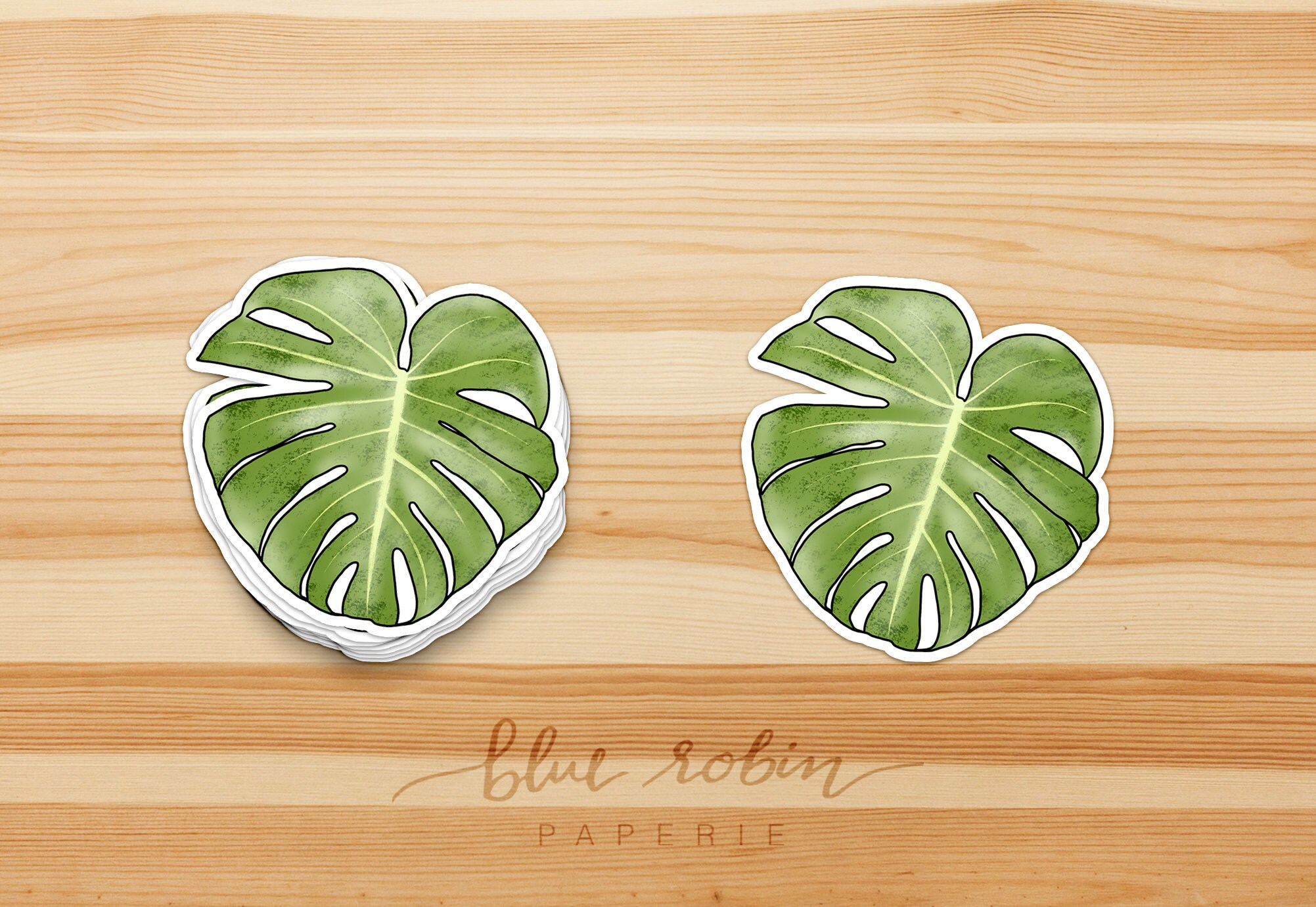 Monstera Plant Sticker, Die Cut, Monstera Deliciosa, Swiss Cheese Plant ...