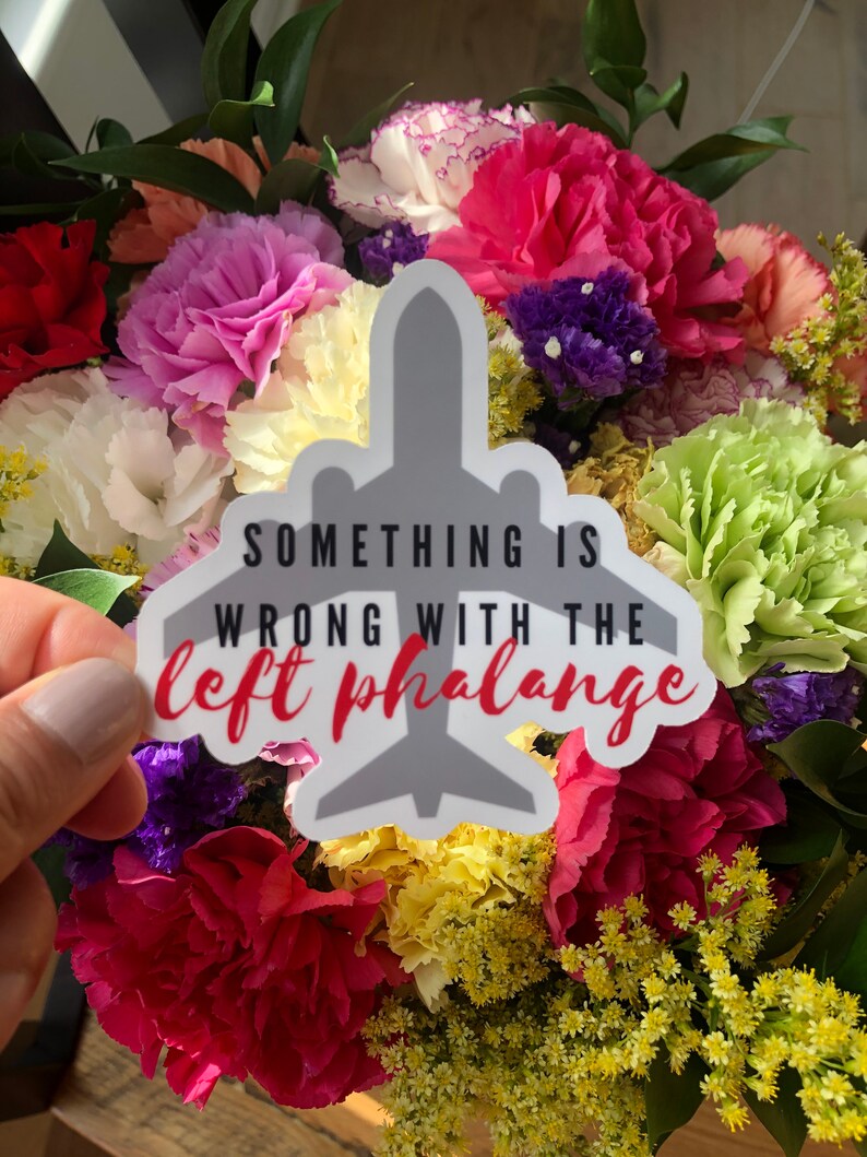 Phalange, Plane Trouble, Phoebe Buffay, Friends TV Show Sticker, TV ...