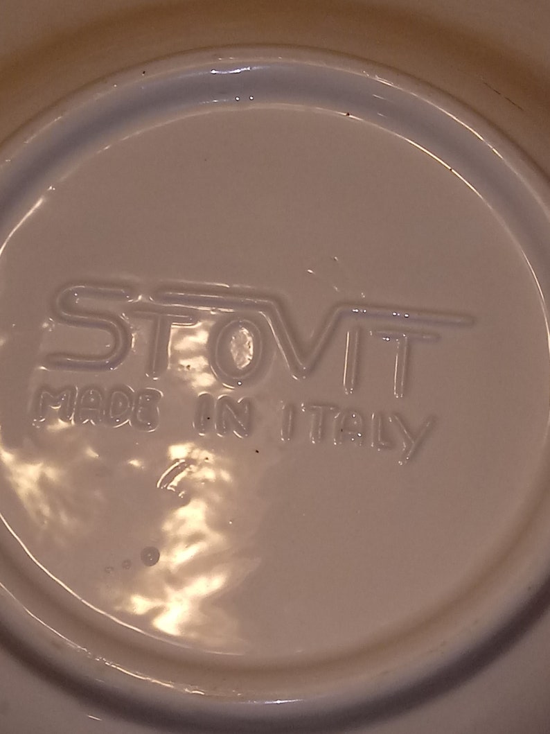 EXTREMELY RARE Stovit Ceramic Hand Painted 16 Inch Pasta Bowl Made in ...