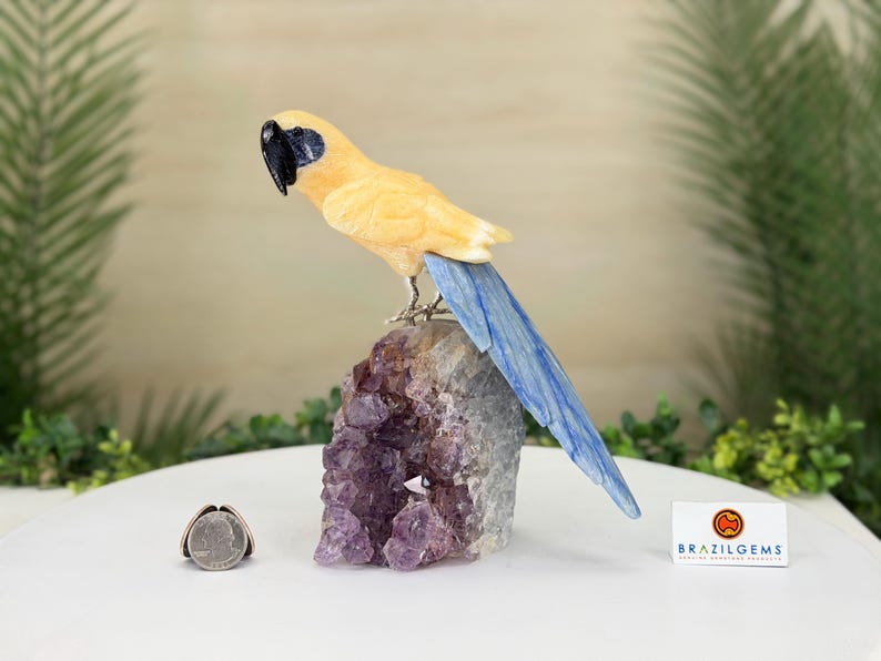 Orange Calcite Crystal Parrot, Medium Size, Amethyst Base #3004-ORPAM ...