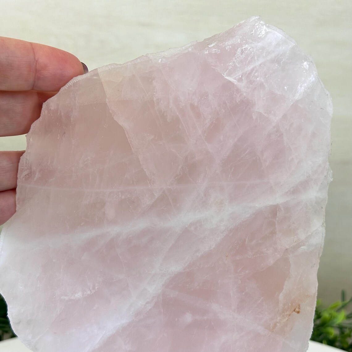 Rose Quartz Polished Slice on a Wood Base 8.5" Tall #6100RQ-020 by ...
