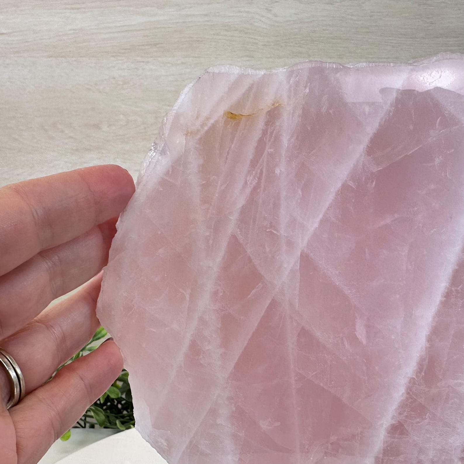 Rose Quartz Polished Slice on a Wood Base, 9" Tall #6100RQ-048 by ...