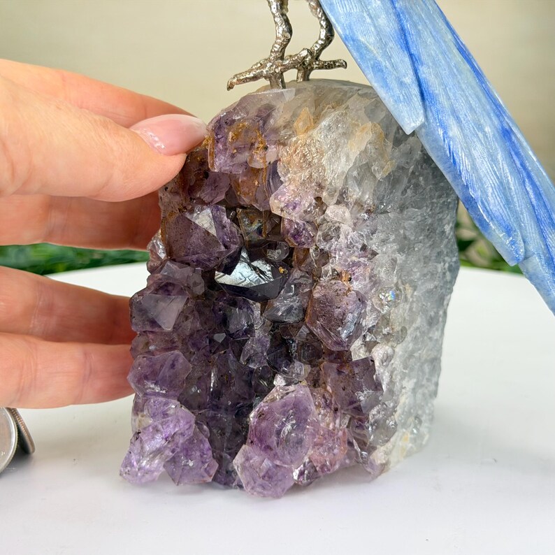 Orange Calcite Crystal Parrot, Medium Size, Amethyst Base #3004-ORPAM ...