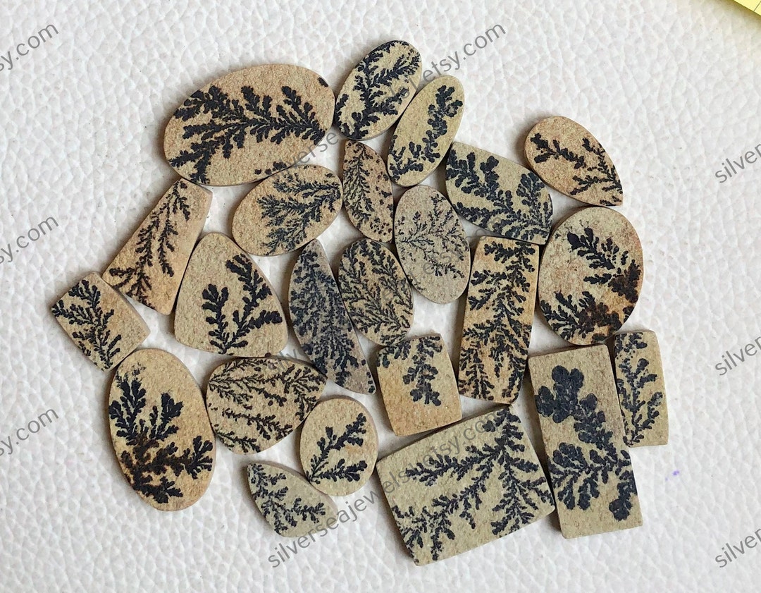 Natural Dendrite Fossil Cabochon Wholesale Lot, Mix Shapes and Sizes ...