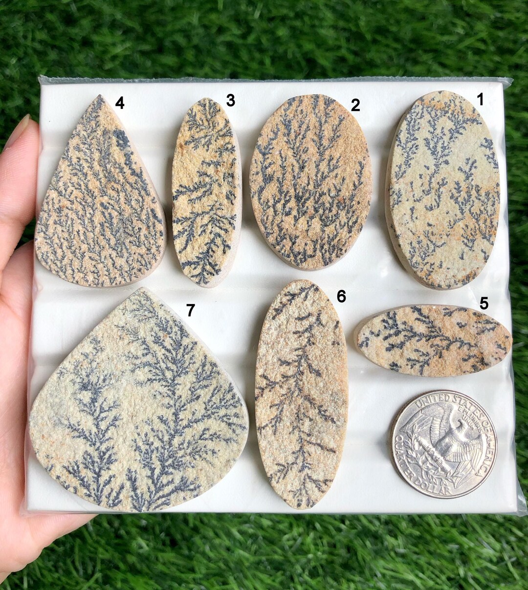 Dendrite Fossil Cabochon, Natural Semi Precious Gemstone for Jewelry ...