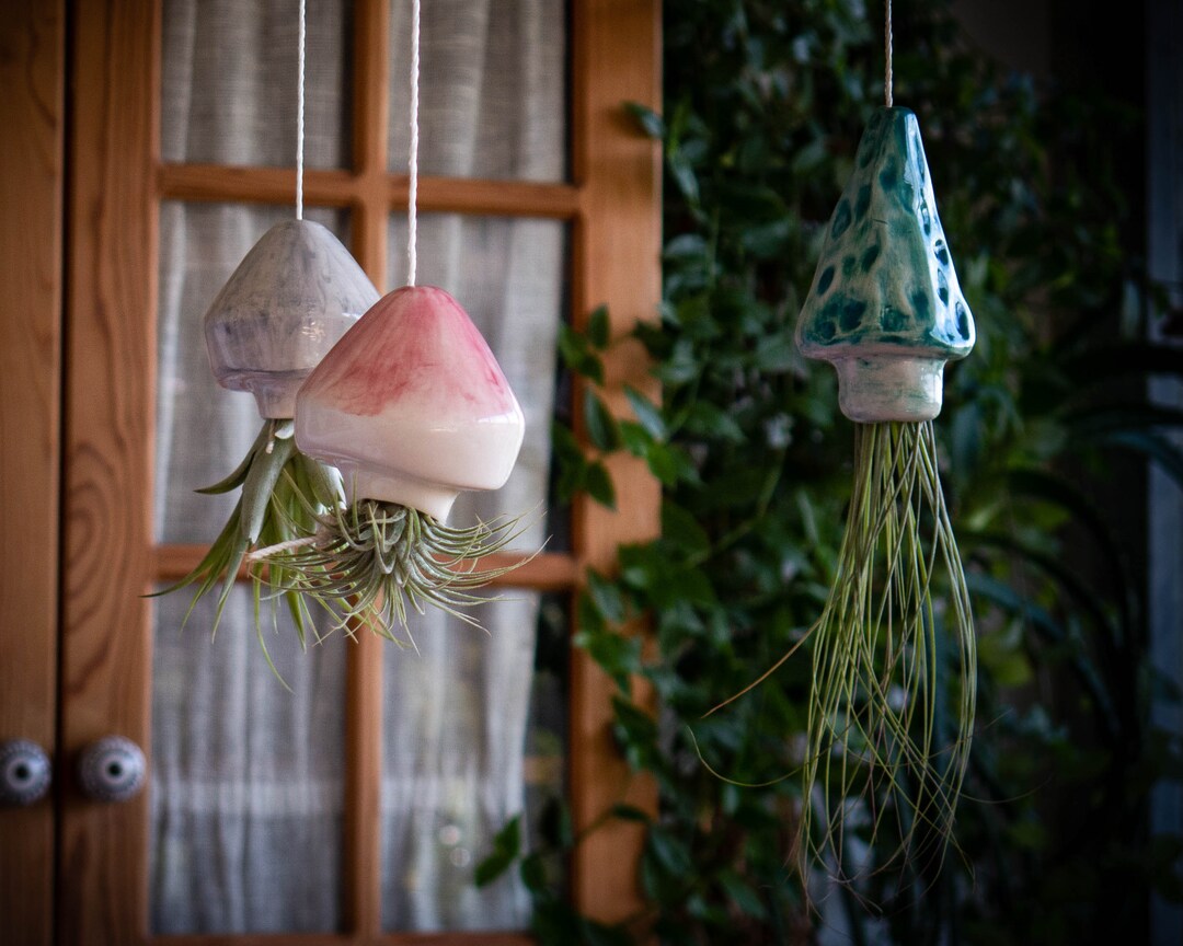 Jellyfish Hanging Air Plant Holder, Colorful Hanging Planter Indoor ...