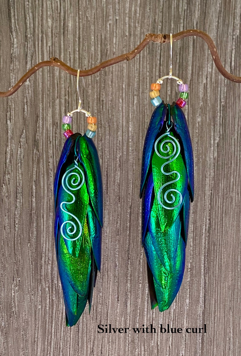 Iridescent All Natural Green Blue Beetle Elytra Earrings With Rainbow ...
