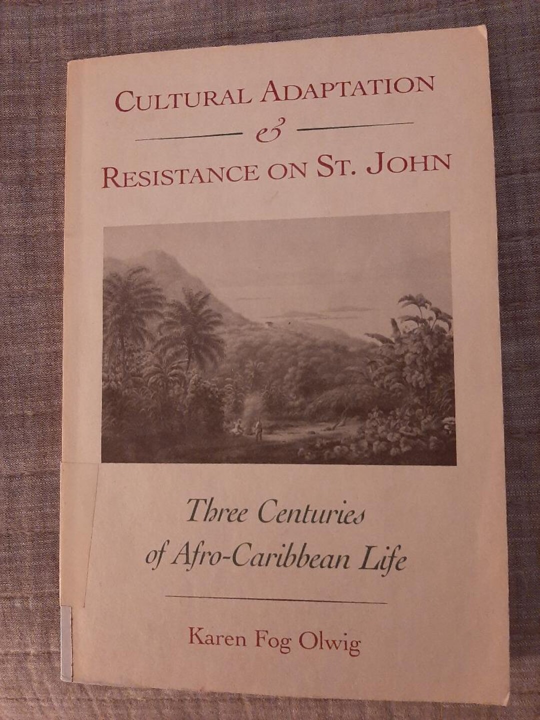 Cultural Adaptation and Resistance on St. John by Karen Fog Olwig - Etsy