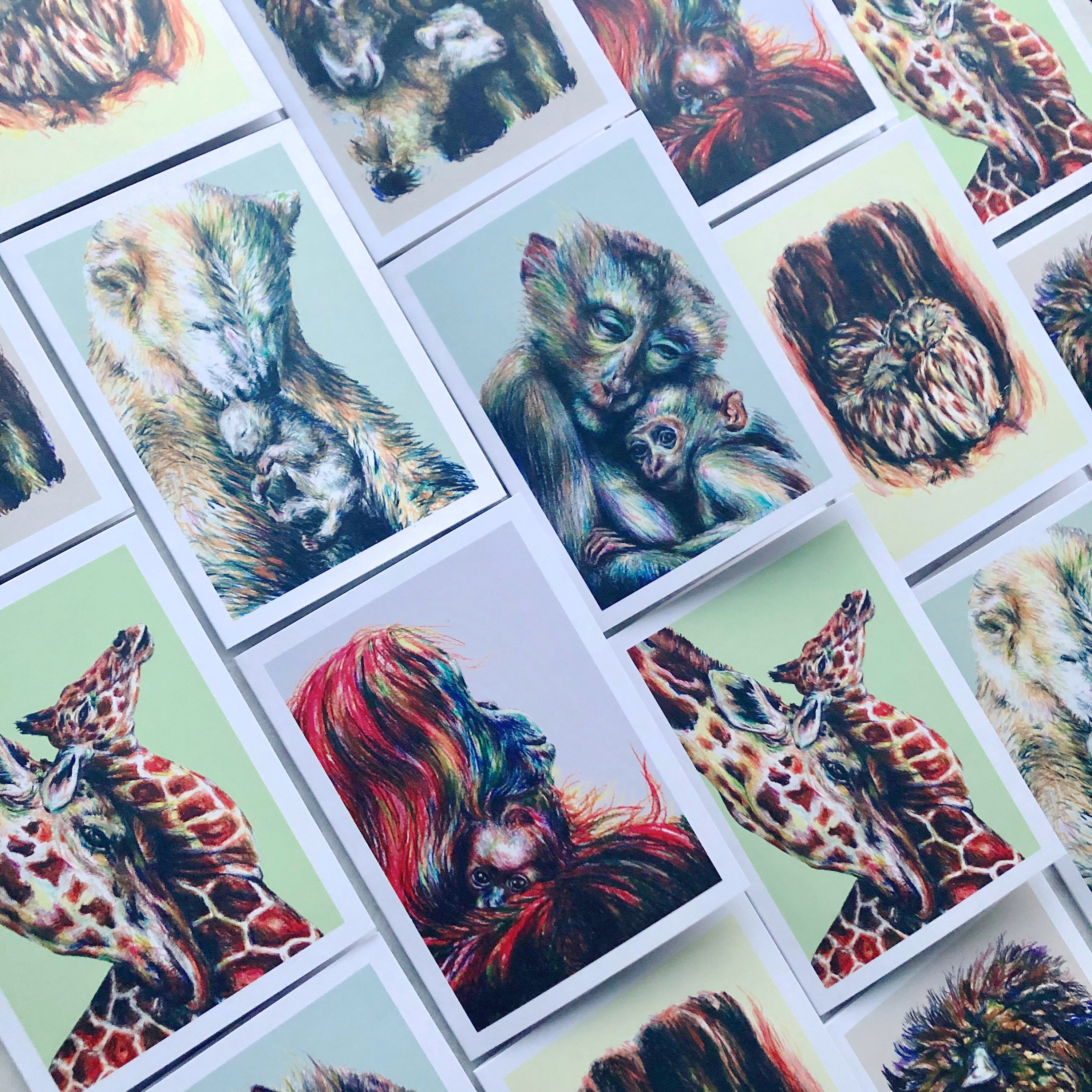 Set of Six Greeting Cards/animal Cards/printed on 100% Recycled Card ...