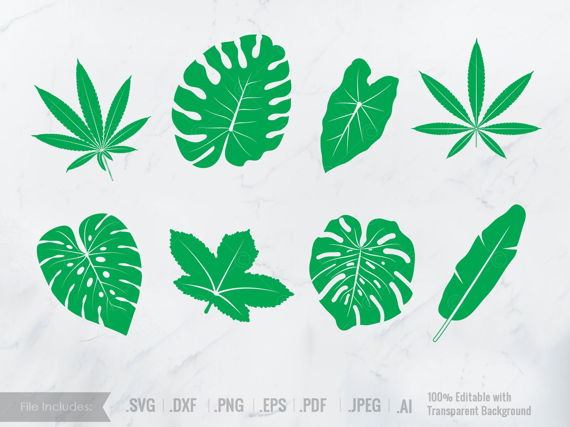 Hoja svg hoja hojas tropicales svg hojas tropicales hoja | Etsy