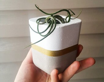 Decorative plant pots | Etsy