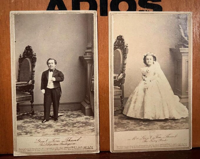 19th Century Cdvs of Sideshow Performers General Tom Thumb and His Wife ...