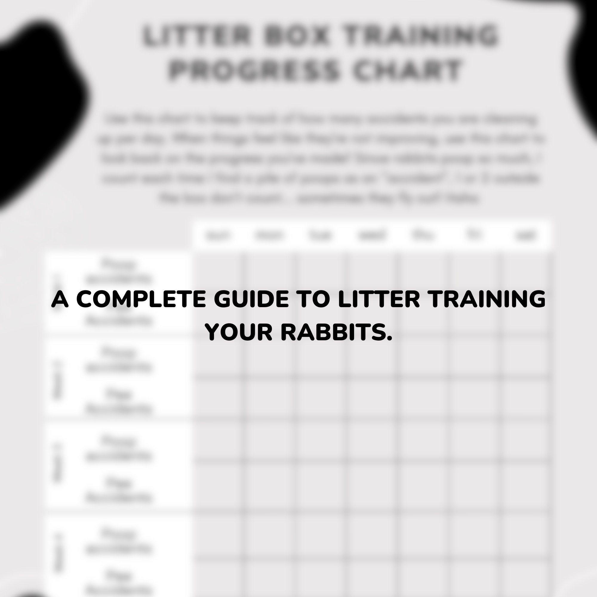 A Complete Guide to Litter Train Your Rabbits - DIGITAL DOWNLOAD ...