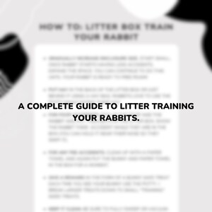 A Complete Guide to Litter Train Your Rabbits - DIGITAL DOWNLOAD ...
