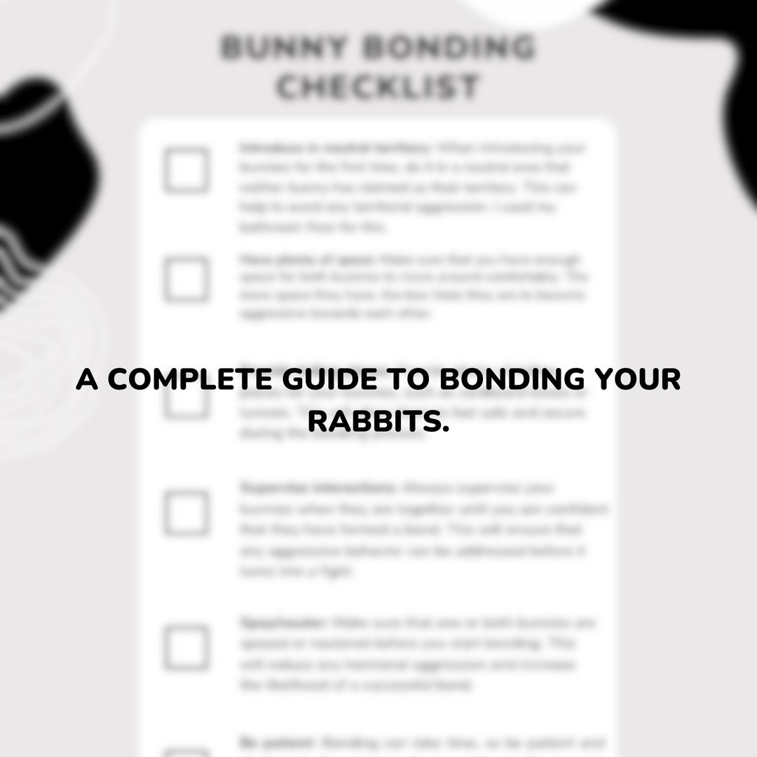 HOW TO: Bond Your Rabbits - Digital Guide - Etsy