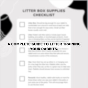 A Complete Guide to Litter Train Your Rabbits - DIGITAL DOWNLOAD ...
