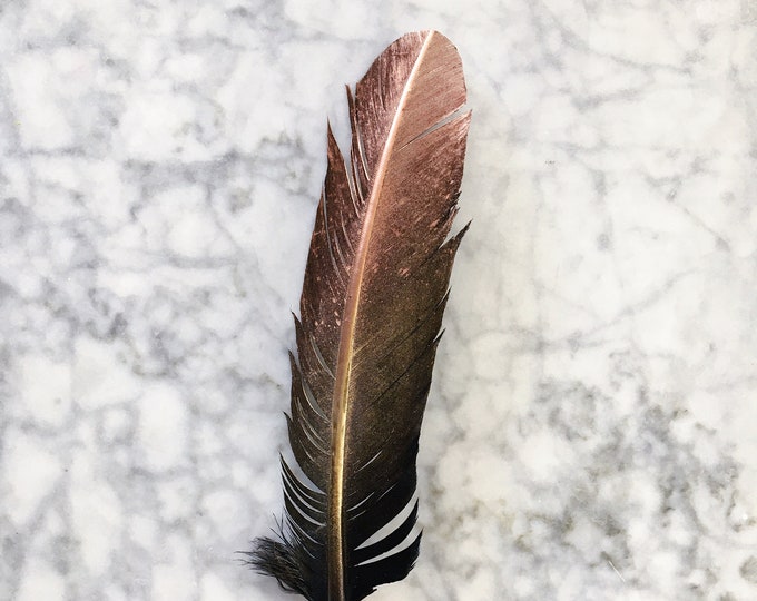 Hand Painted Quill With Copper Nib Holder | Pen Holder | Calligraphy ...