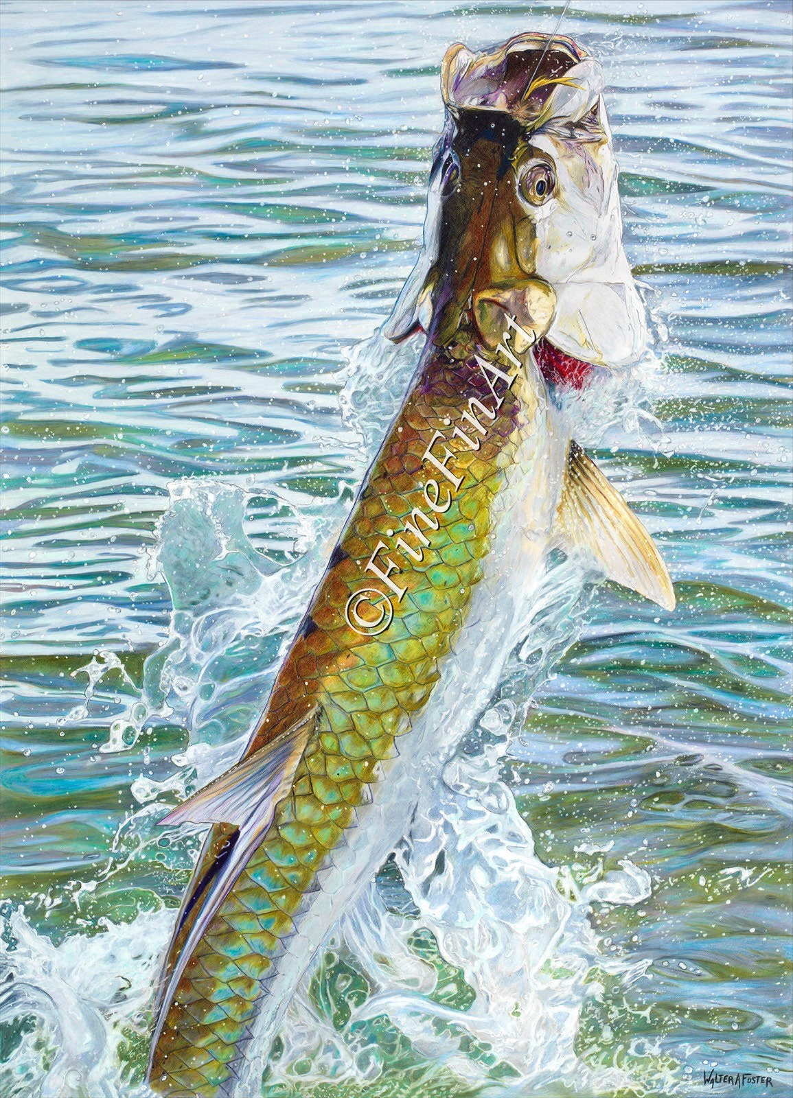 Thrashing Tarpon 18.5x26 Limited Fine Art Print - Etsy