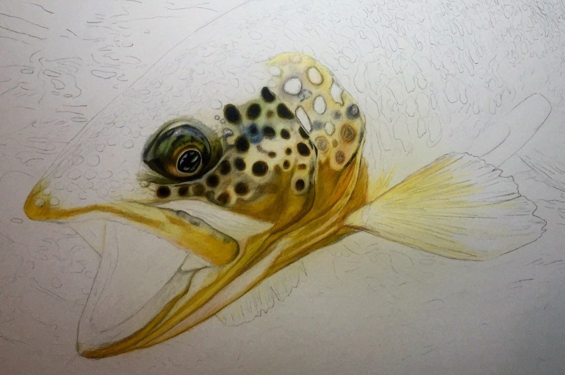 Trout Pose 18x 24 Limited Edition Fine Art Print - Etsy