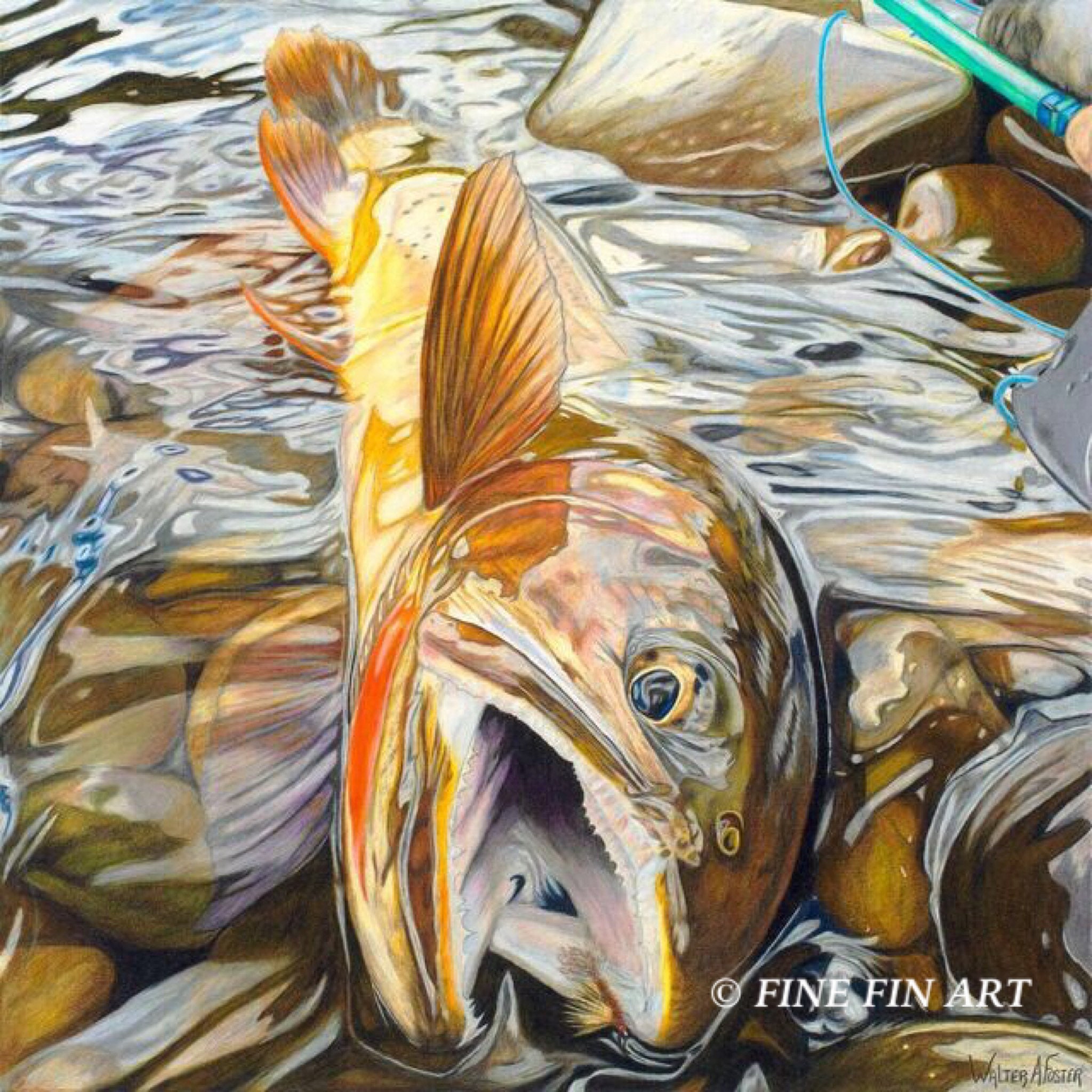 A Cut Above 18x18 Limited Edition Fine Art Print - Etsy