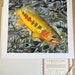 Gold Fever 17 X 16 - Limited Edition Fine Art Print - Etsy